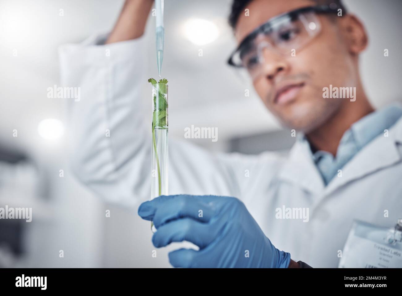 Scientist, test tube and plant analysis working in laboratory for ...