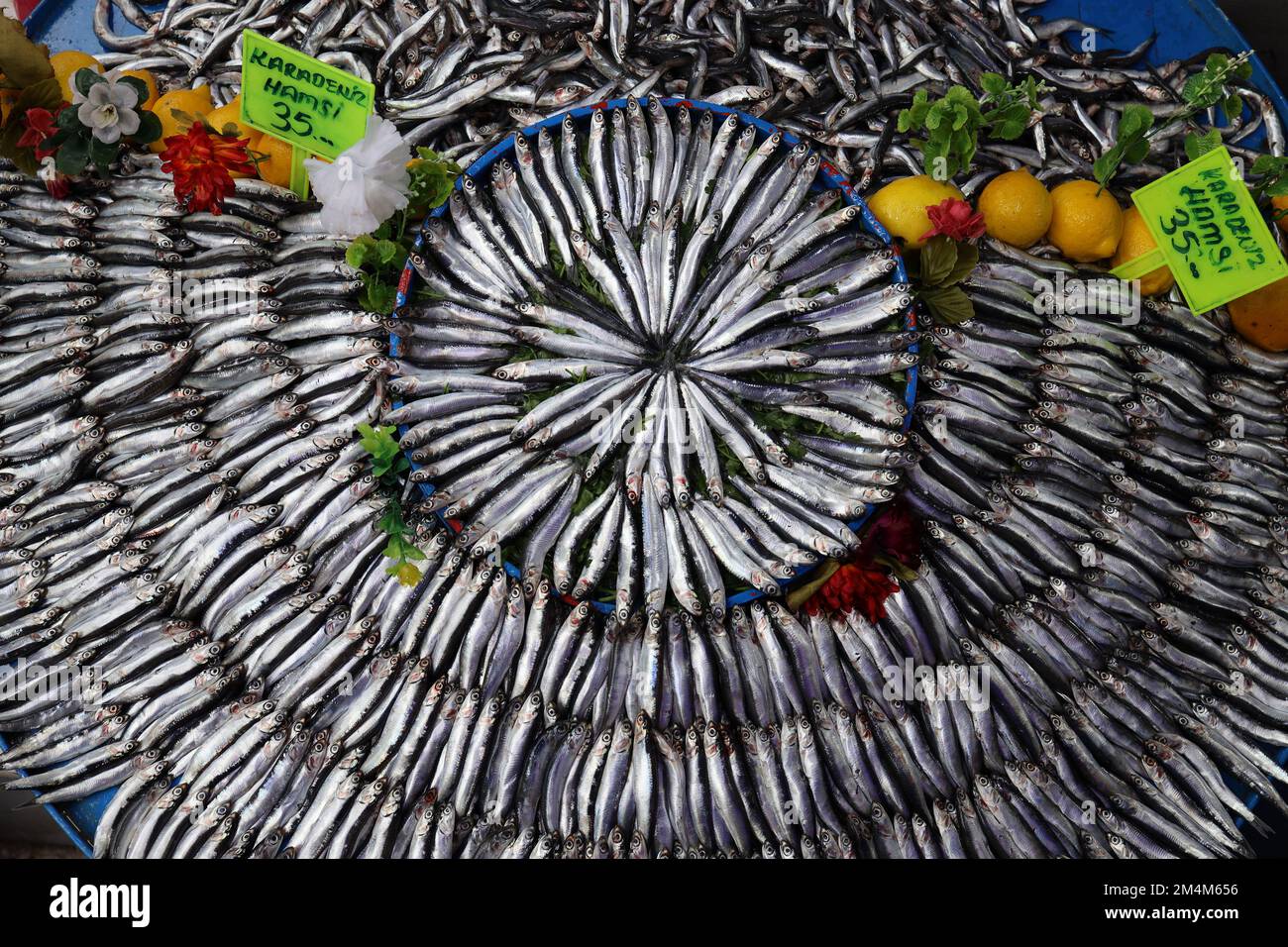 anchovy in the fish market Stock Photo - Alamy