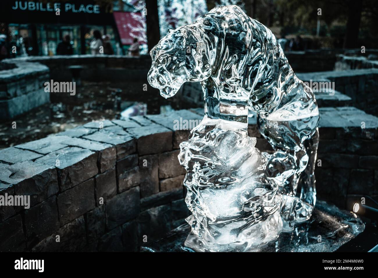 An ice frozen tiger sculpture at the Magical Winter Ice Festival in ...