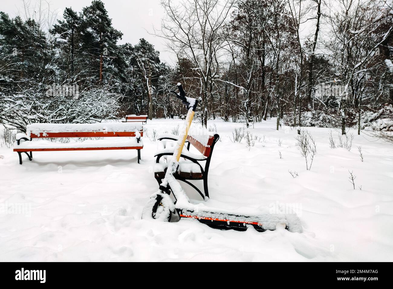 Safely ride electric scooter during winter. Electric scooter covered ...
