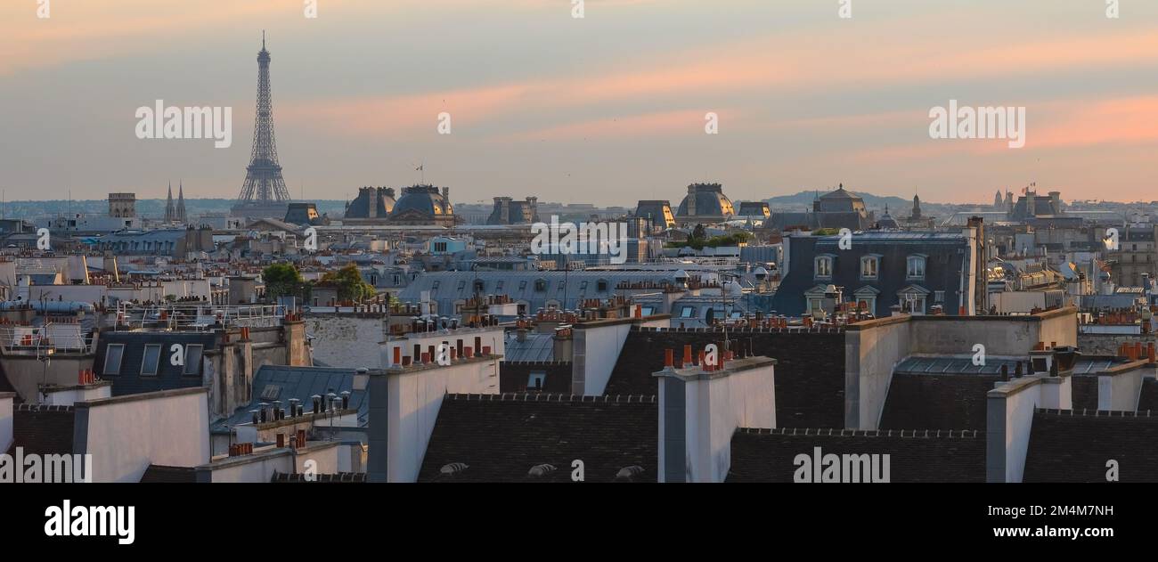 City day view of Parisian rooftops and Eiffel Tower. Famous landmark, icon, tourist destination ...