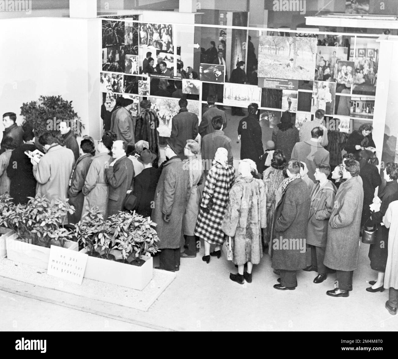 "Family of Man" Exhibit, Opening Day. Photographs of Marshall Plan ...