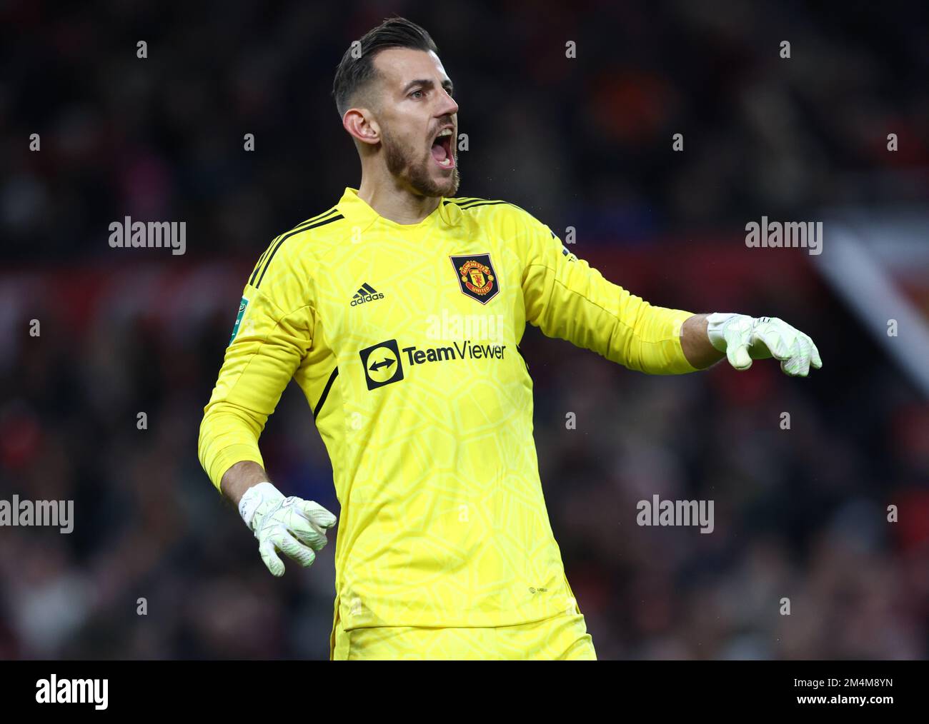 Martin dubravka manchester united hi-res stock photography and images ...