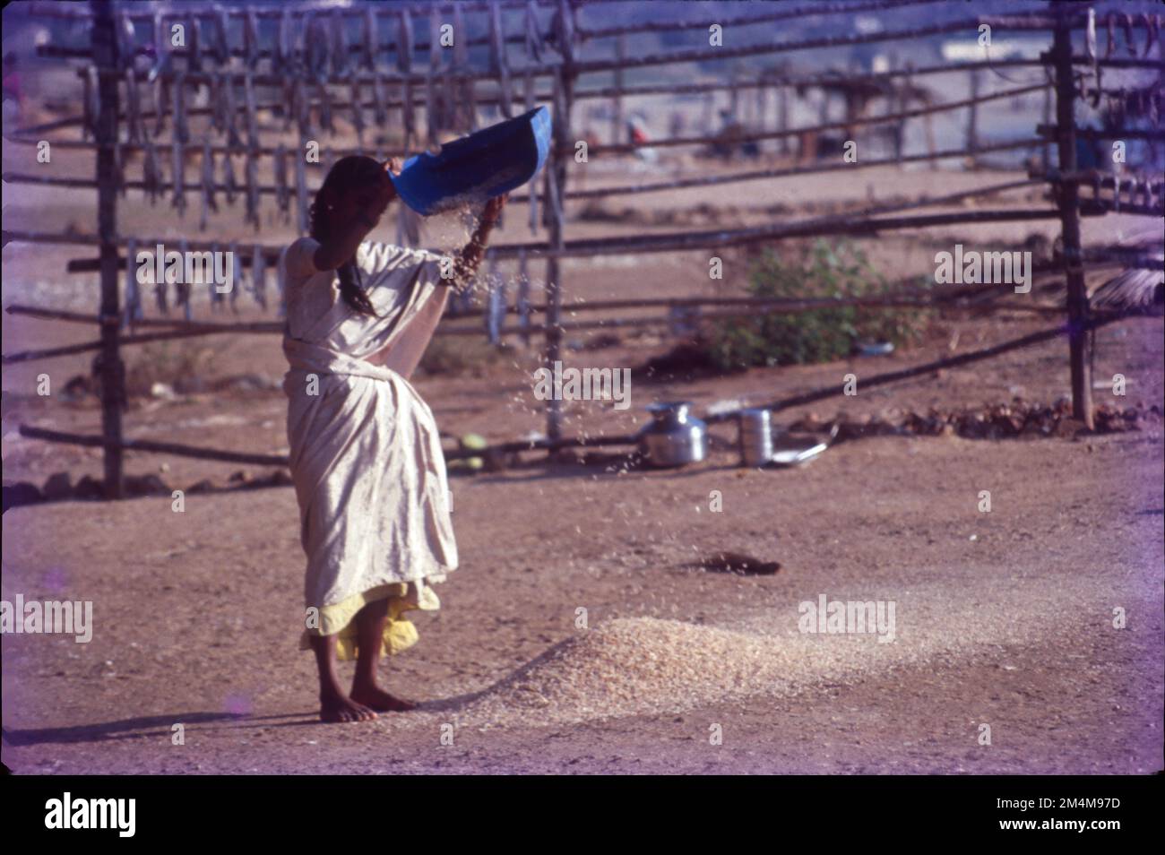 The Kolis, a traditional fishing community in Maharashtra. Koli, the ...