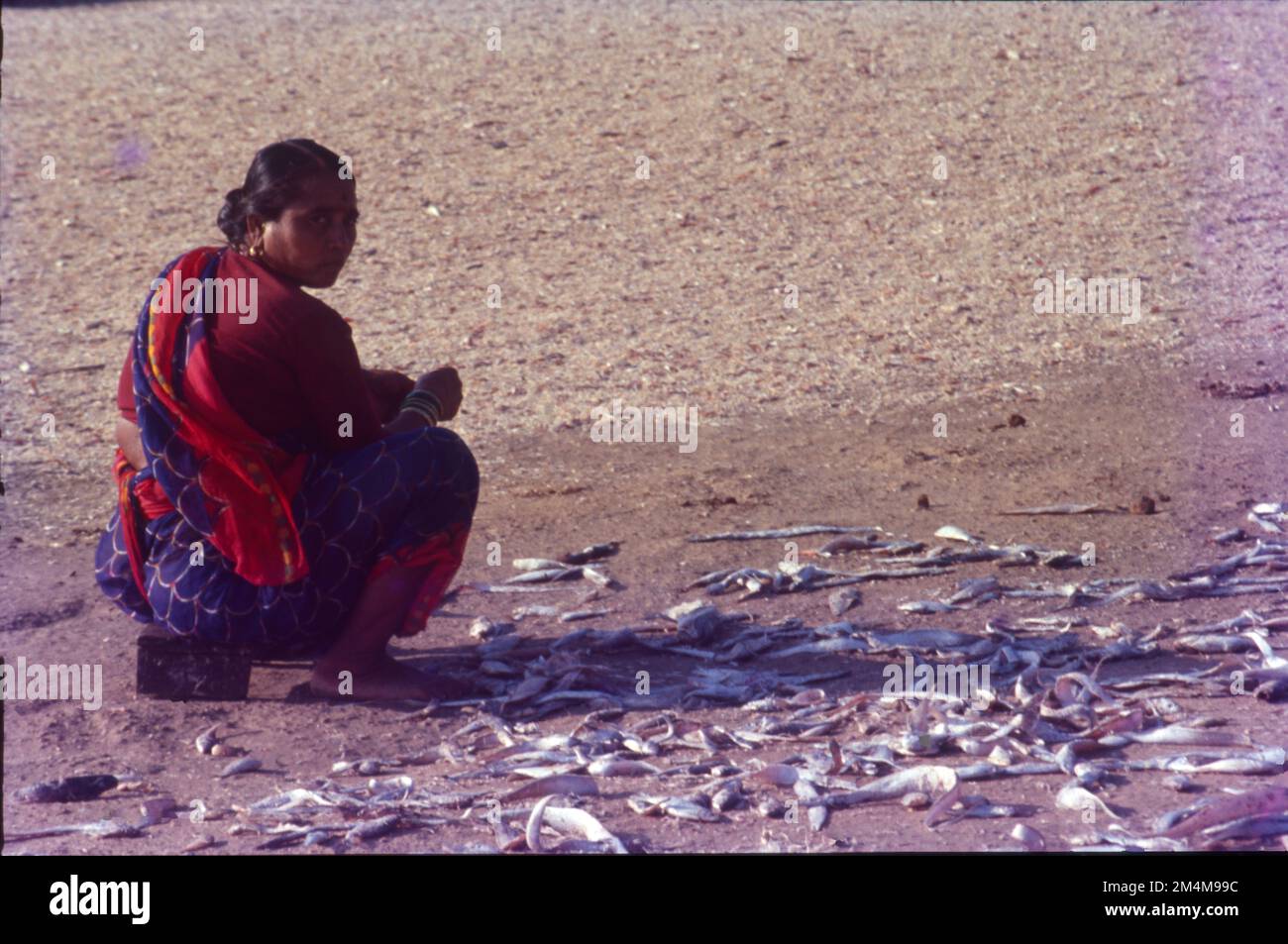 Fisher women amidst drying of fishes hi-res stock photography and ...