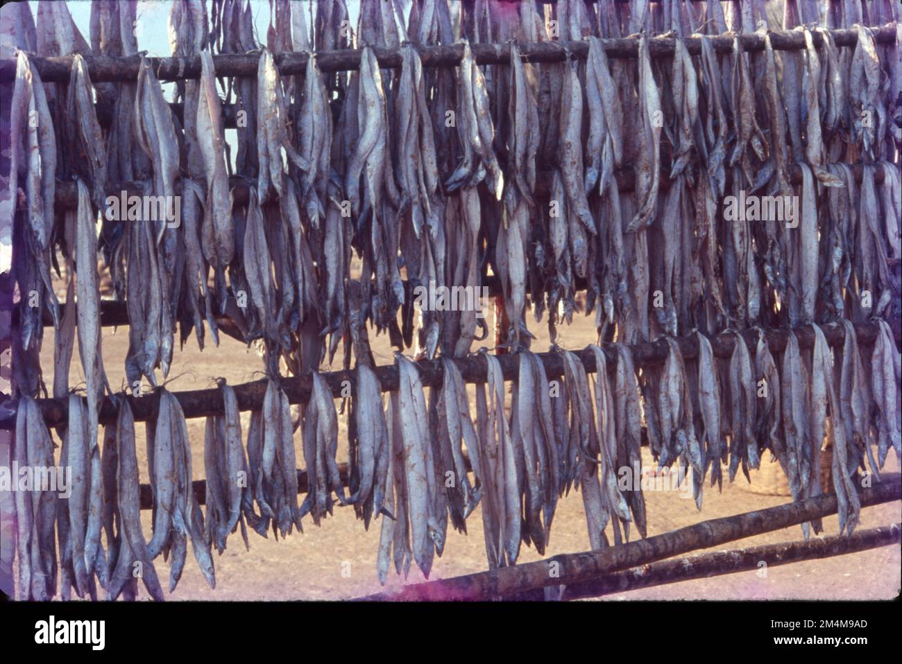 Koli community hi-res stock photography and images - Alamy