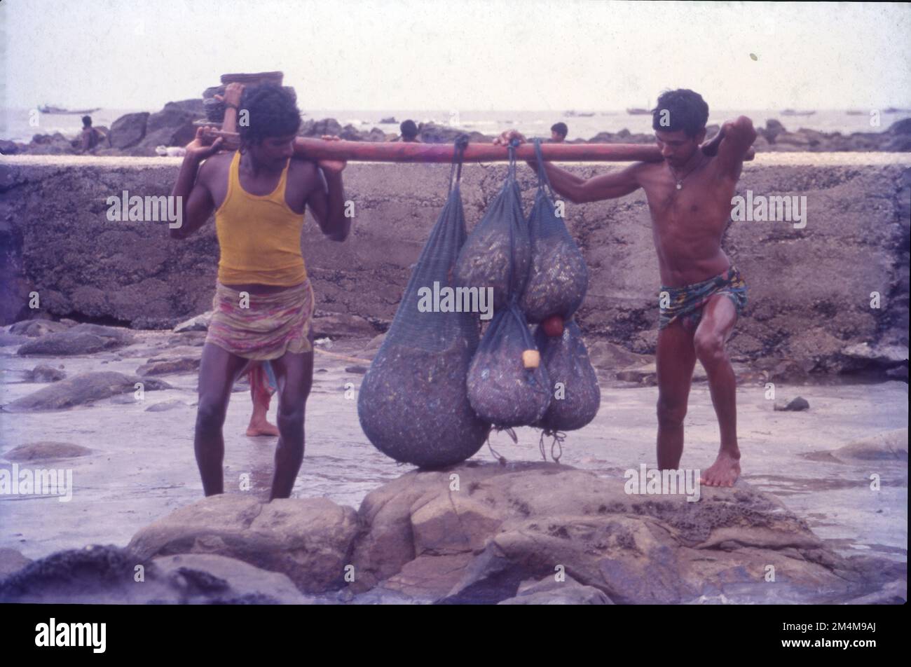 The Kolis, a traditional fishing community in Maharashtra. Koli, the ...