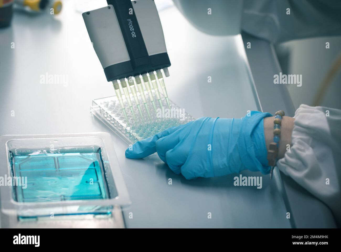 96 well plate multichannel pipette hi-res stock photography and images ...