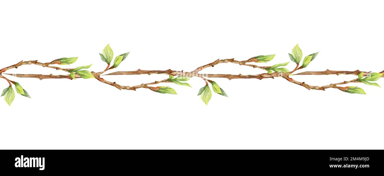 Watercolor hand drawn seamless border of spring twigs and branches with ...
