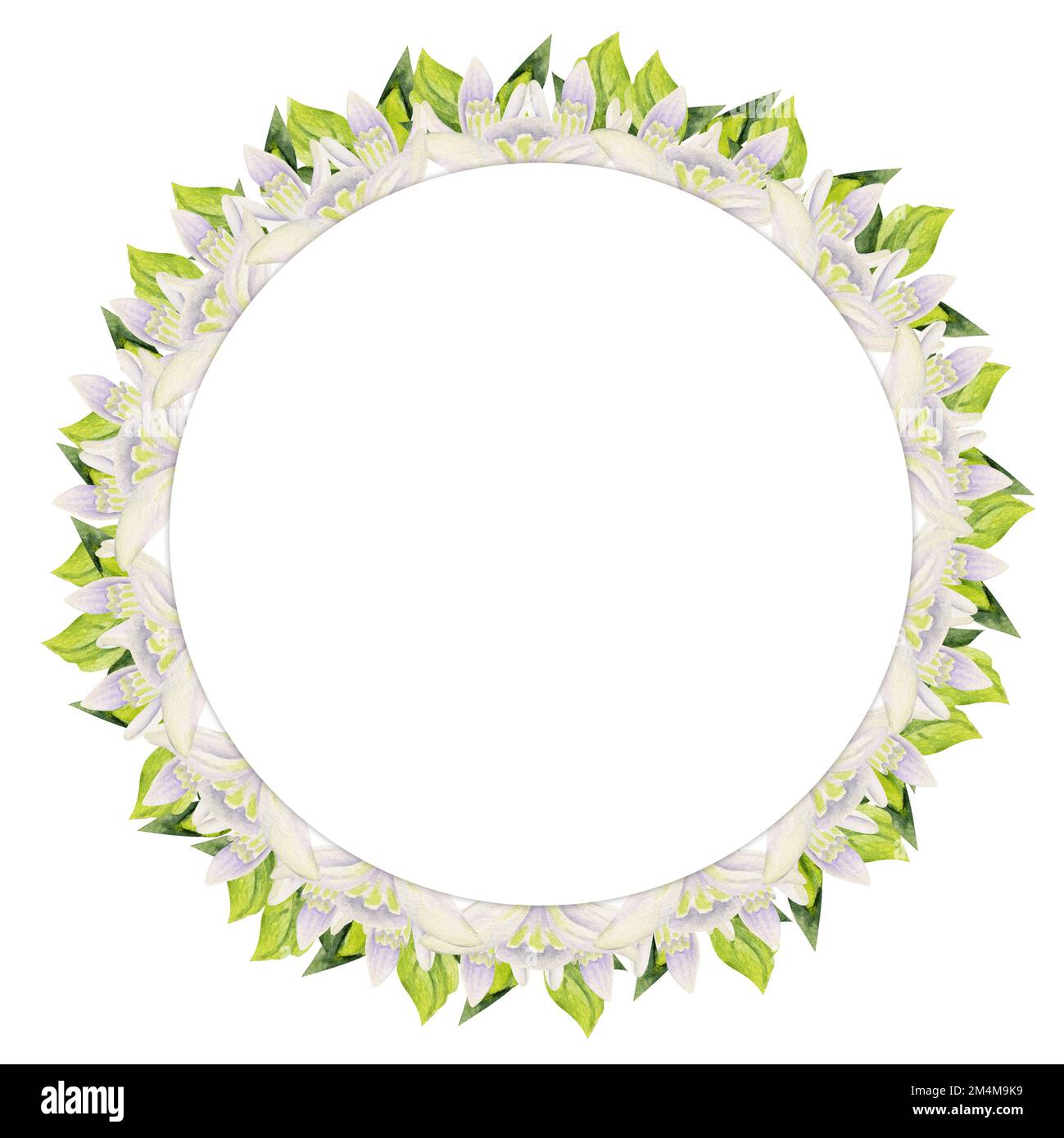 Watercolor hand drawn circle wreath with spring flowers, daffodils ...