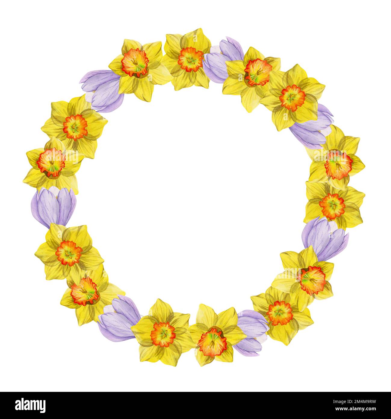 Watercolor hand drawn circle wreath with spring flowers, daffodils ...
