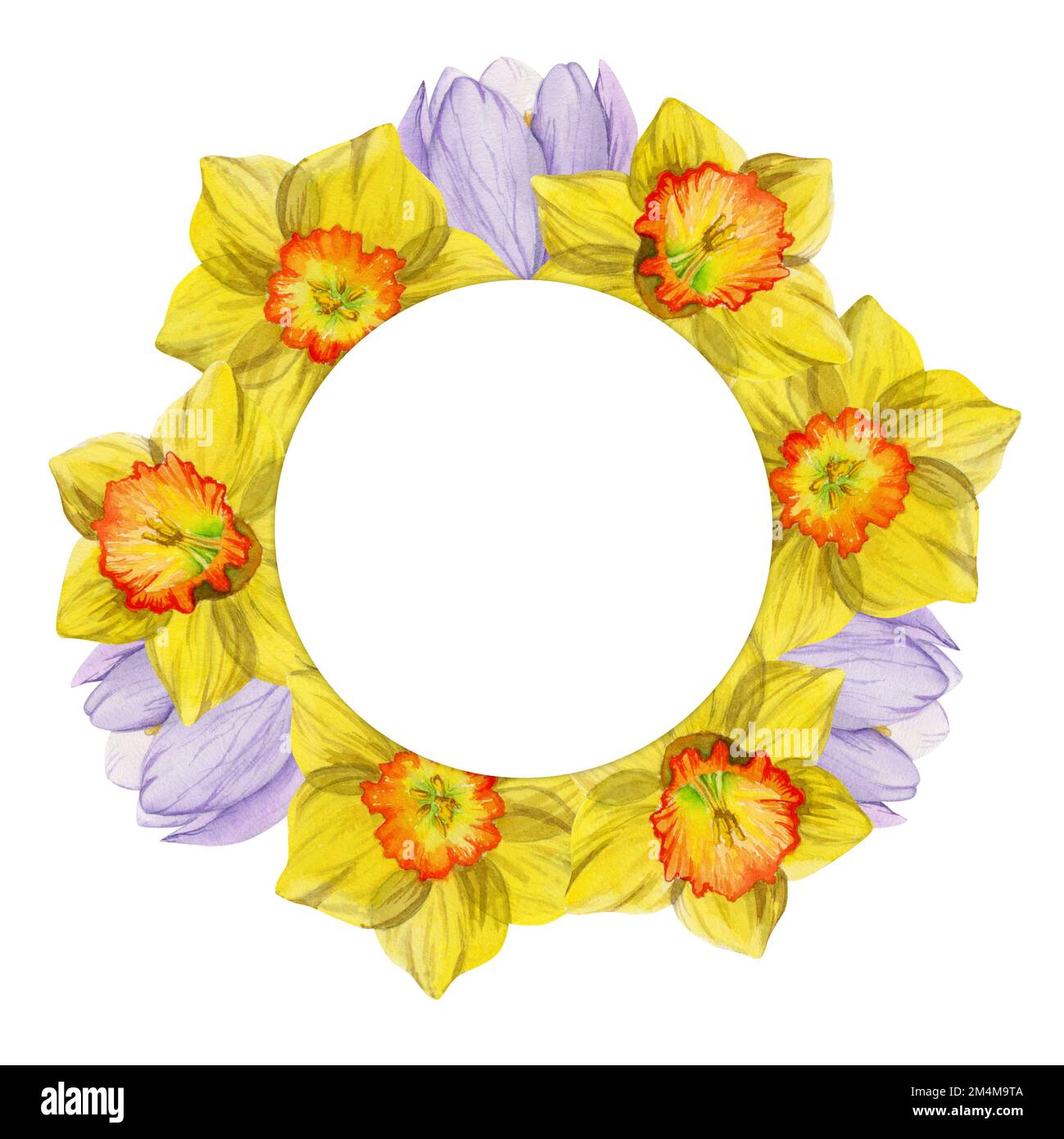 Watercolor hand drawn circle wreath with spring flowers, daffodils ...