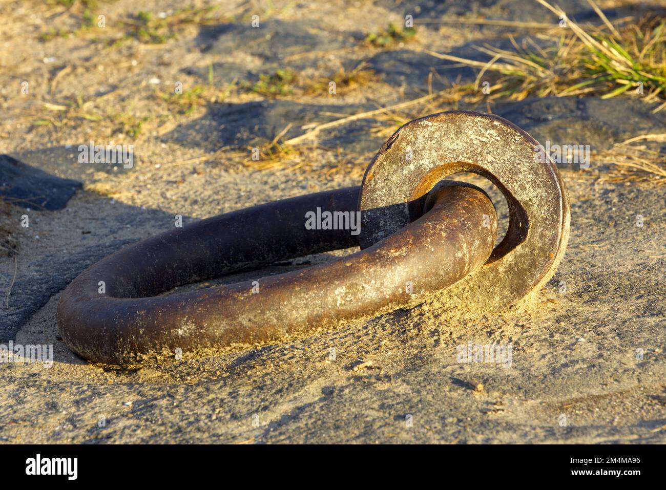 A huge, old, rusted shackle in the woods Stock Photo - Alamy