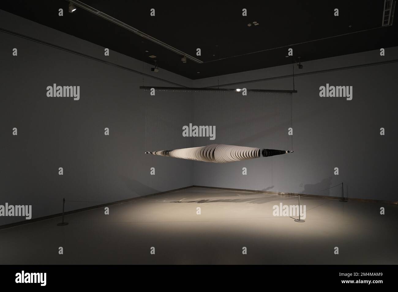 A World of Coexistence - 2022 Jinan International Biennale is coming ...