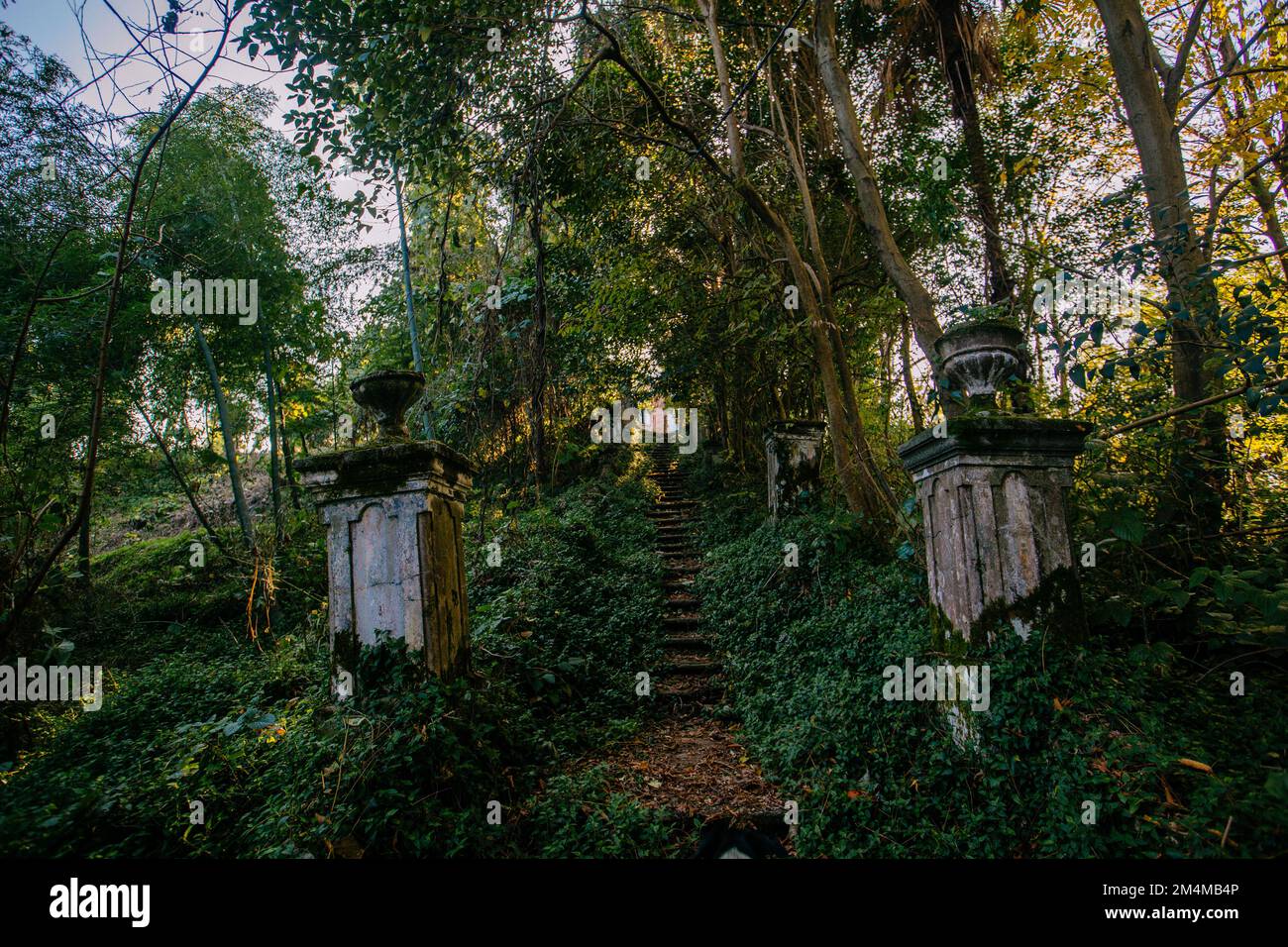 Old overgrown stairs in abandoned park Stock Photo - Alamy