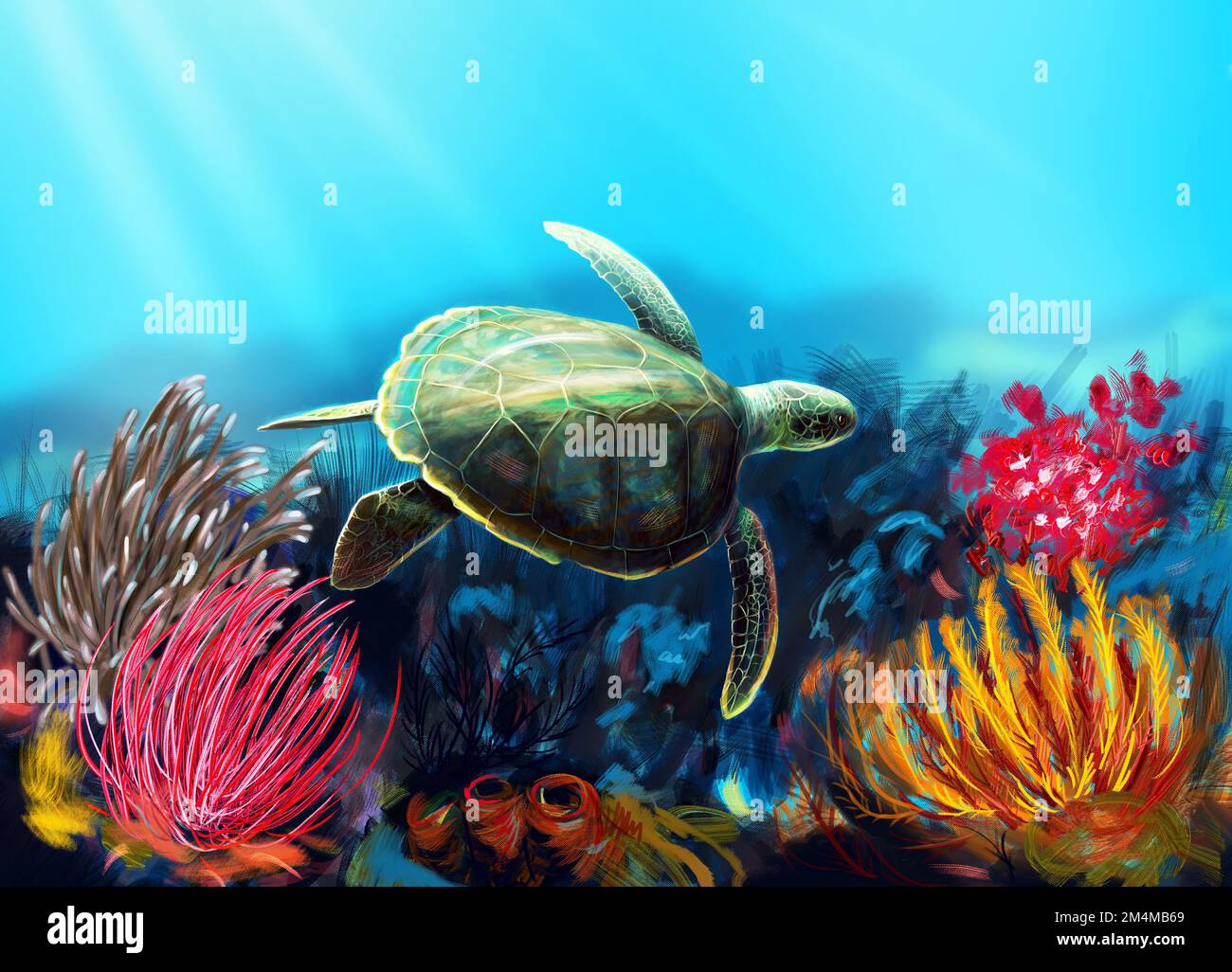 Turtle painting hi-res stock photography and images - Alamy