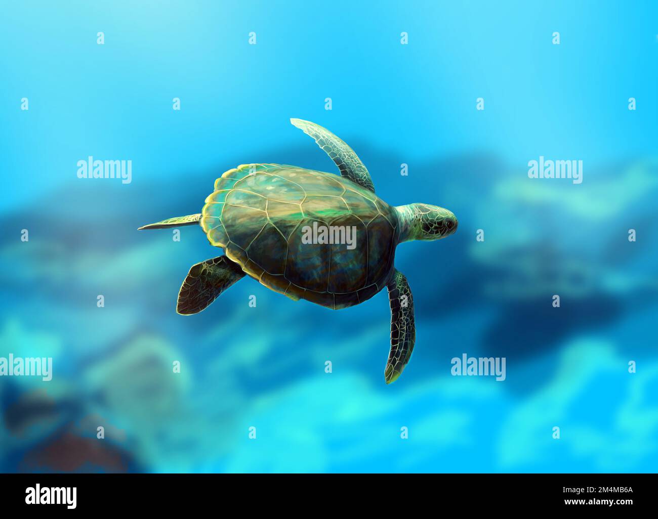 Animal sea turtle painting hi-res stock photography and images - Alamy