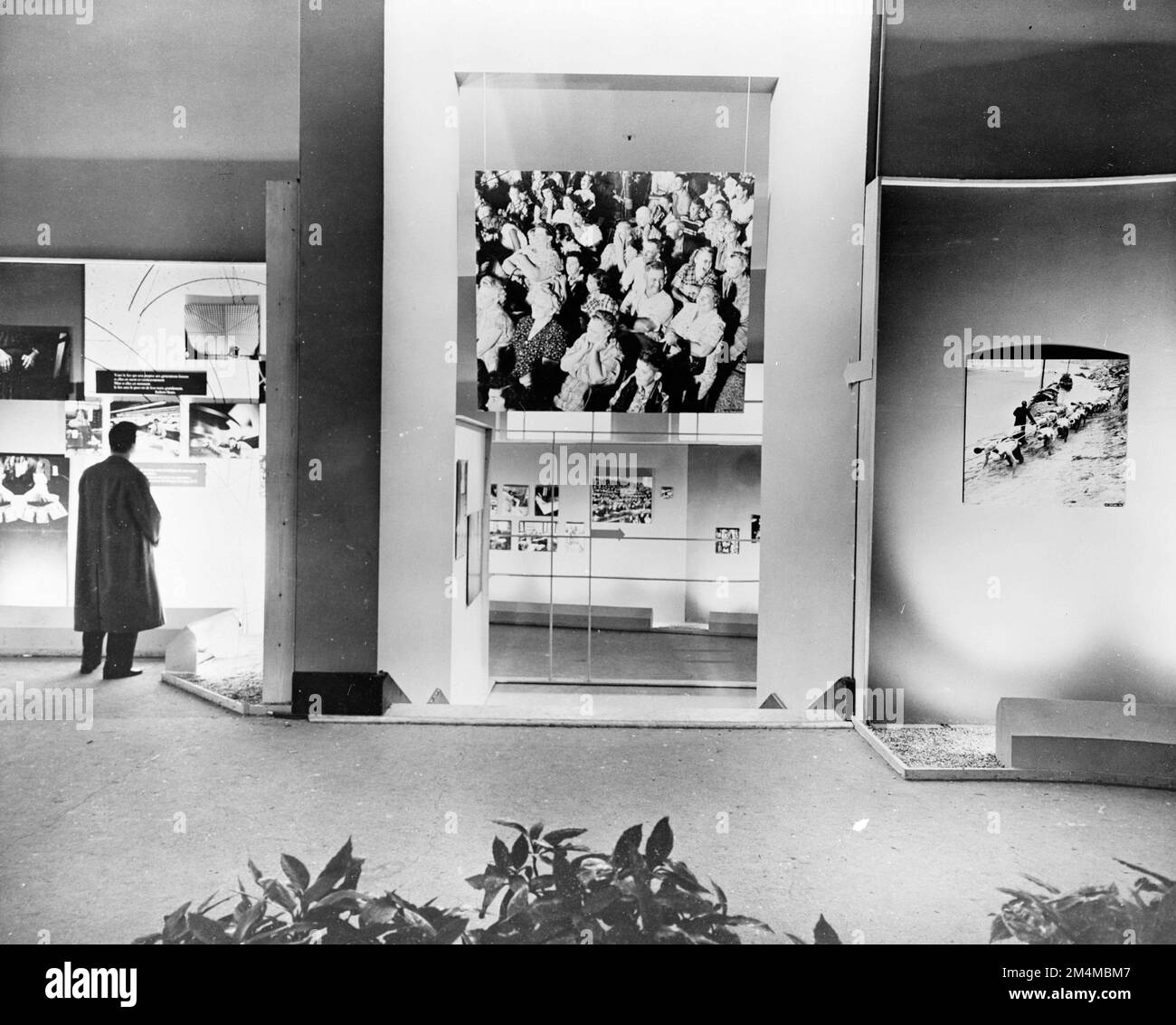 "Family of Man" Exhibit, Lay-out. Photographs of Marshall Plan Programs ...