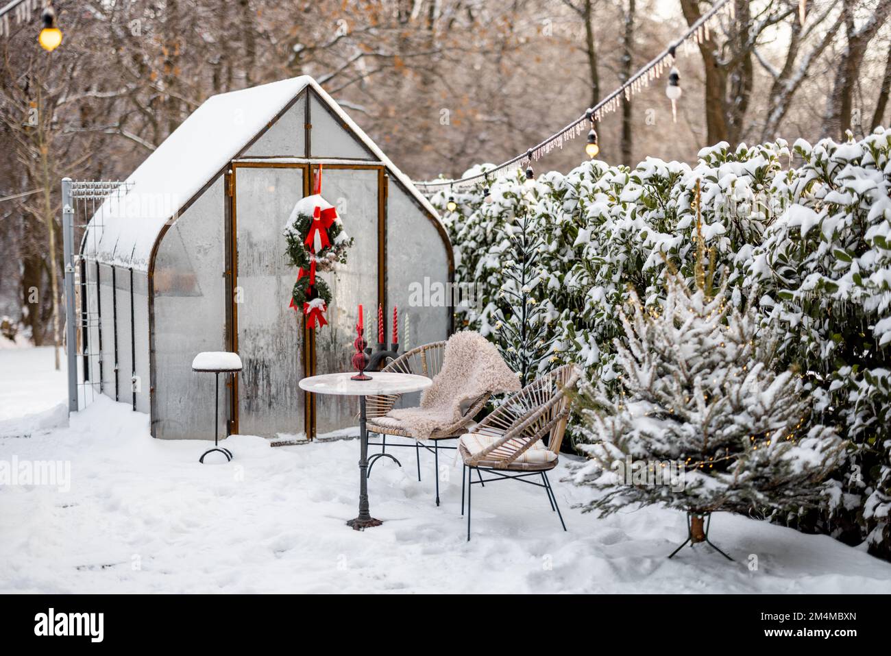 Snowy yard with glasshouse and CHristmas tree Stock Photo - Alamy