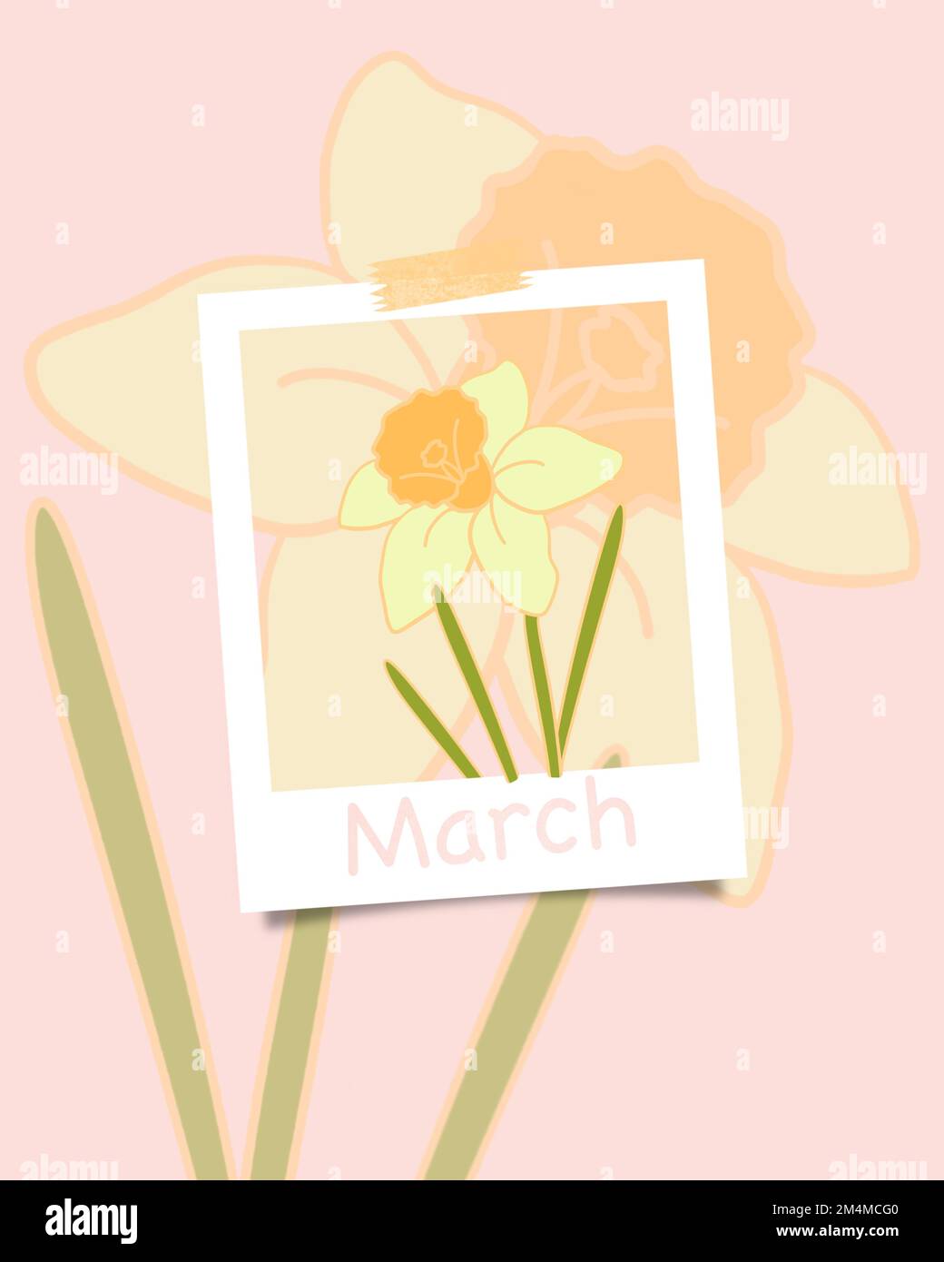 Minimalist flat floral illustration of yellow daffodil flower. March ...