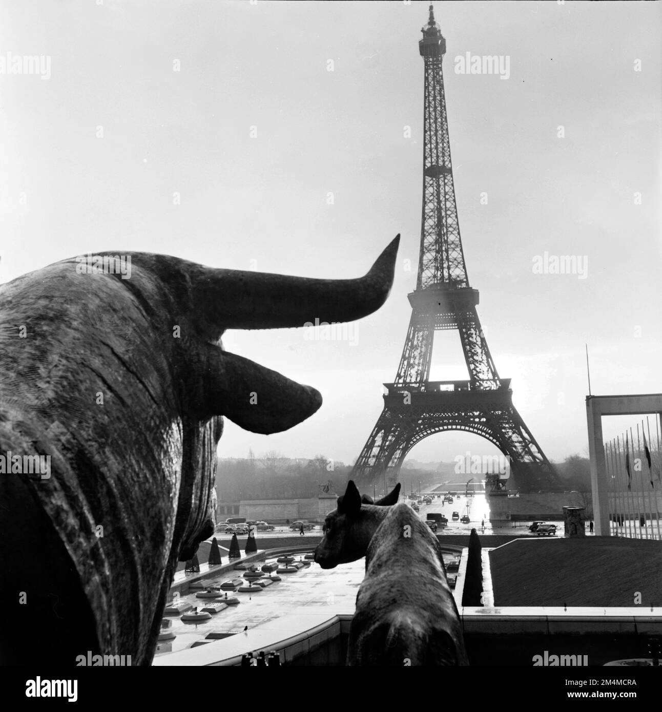 NATO Council Meeting, December 1952. Photographs of Marshall Plan ...