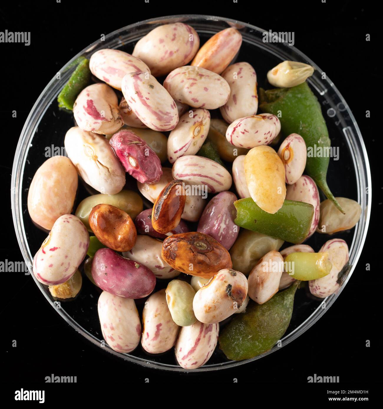 top view of mix of beans with black background Stock Photo - Alamy