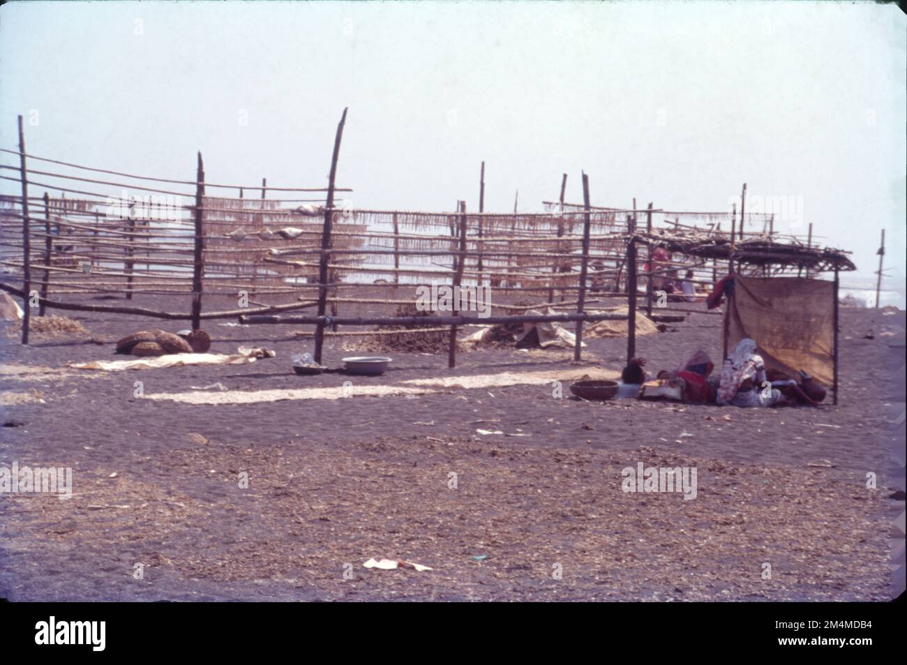 The Kolis, a traditional fishing community in Maharashtra. Koli, the ...