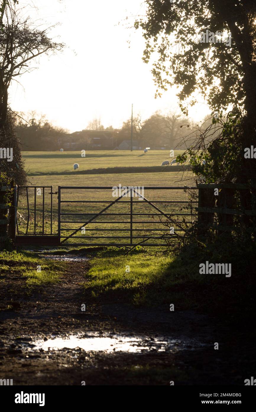 Metal farm gate hi-res stock photography and images - Alamy