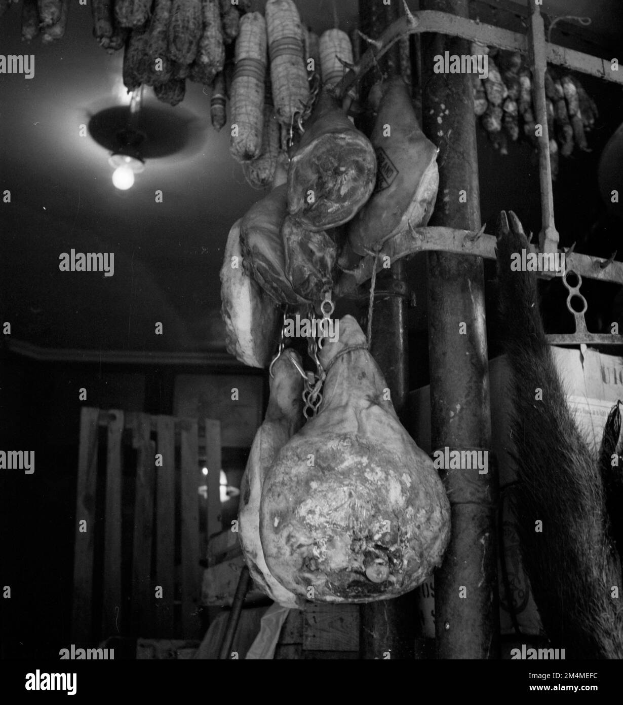 Paris Meat Market. Photographs of Marshall Plan Programs, Exhibits, and ...