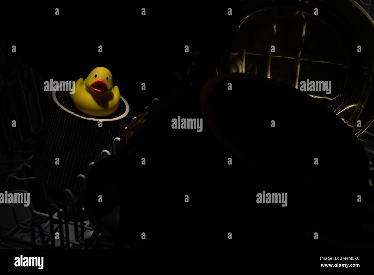 Squeaky rubber duck hi-res stock photography and images - Alamy