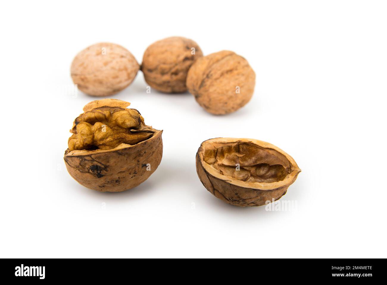 Open walnut in the shell on a white background Stock Photo - Alamy