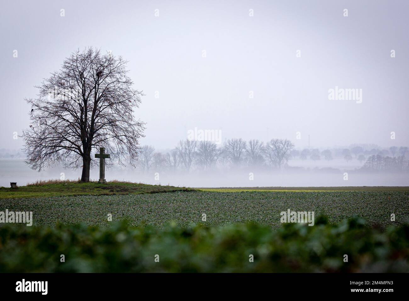 Giesen, Germany. 22nd Dec, 2022. A tree and a cross stand in cloudy ...