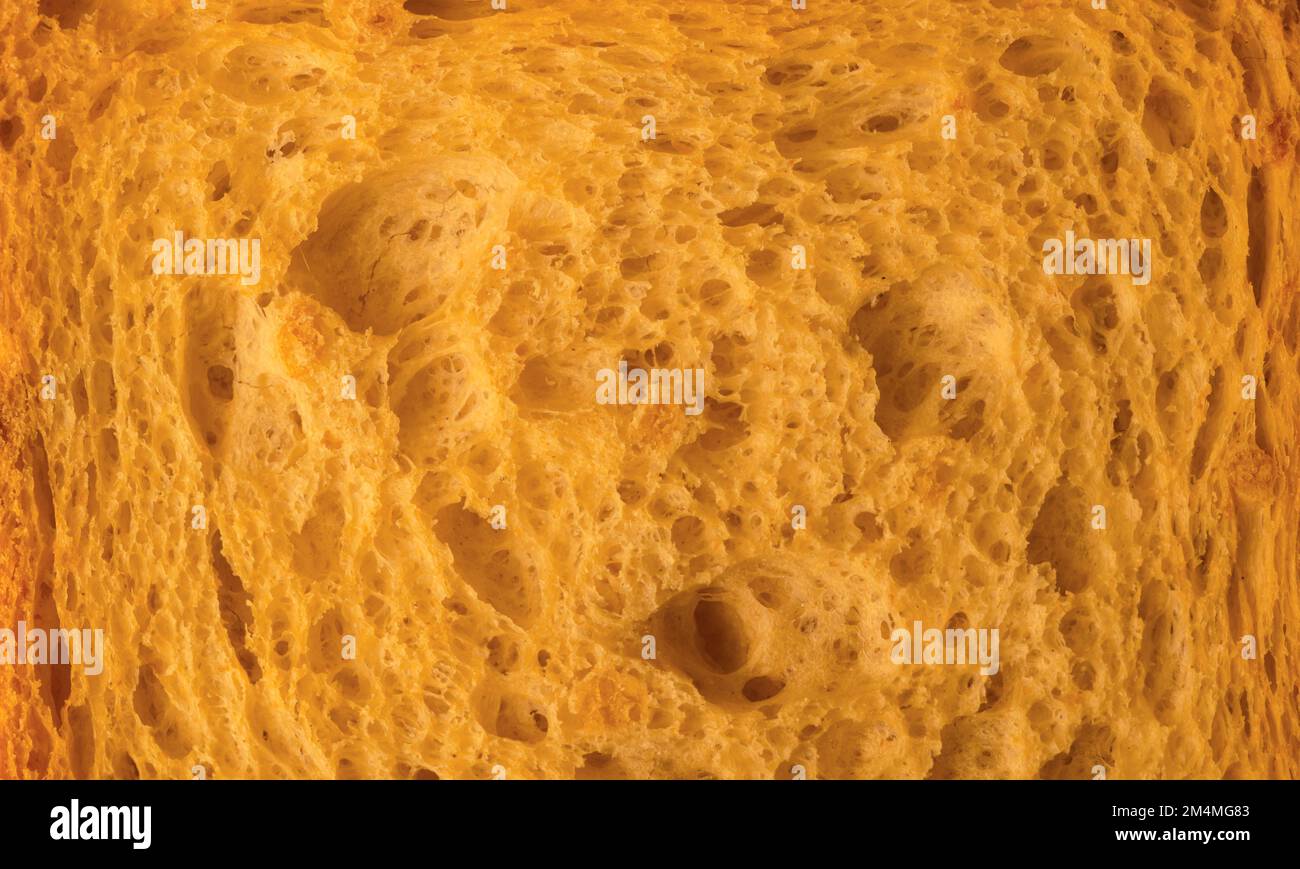 Close up shot of a rusk background texture. Macro bread slice texture ...