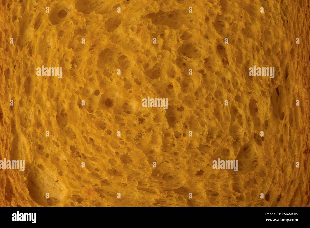 Close up shot of a rusk background texture. Macro bread slice texture ...