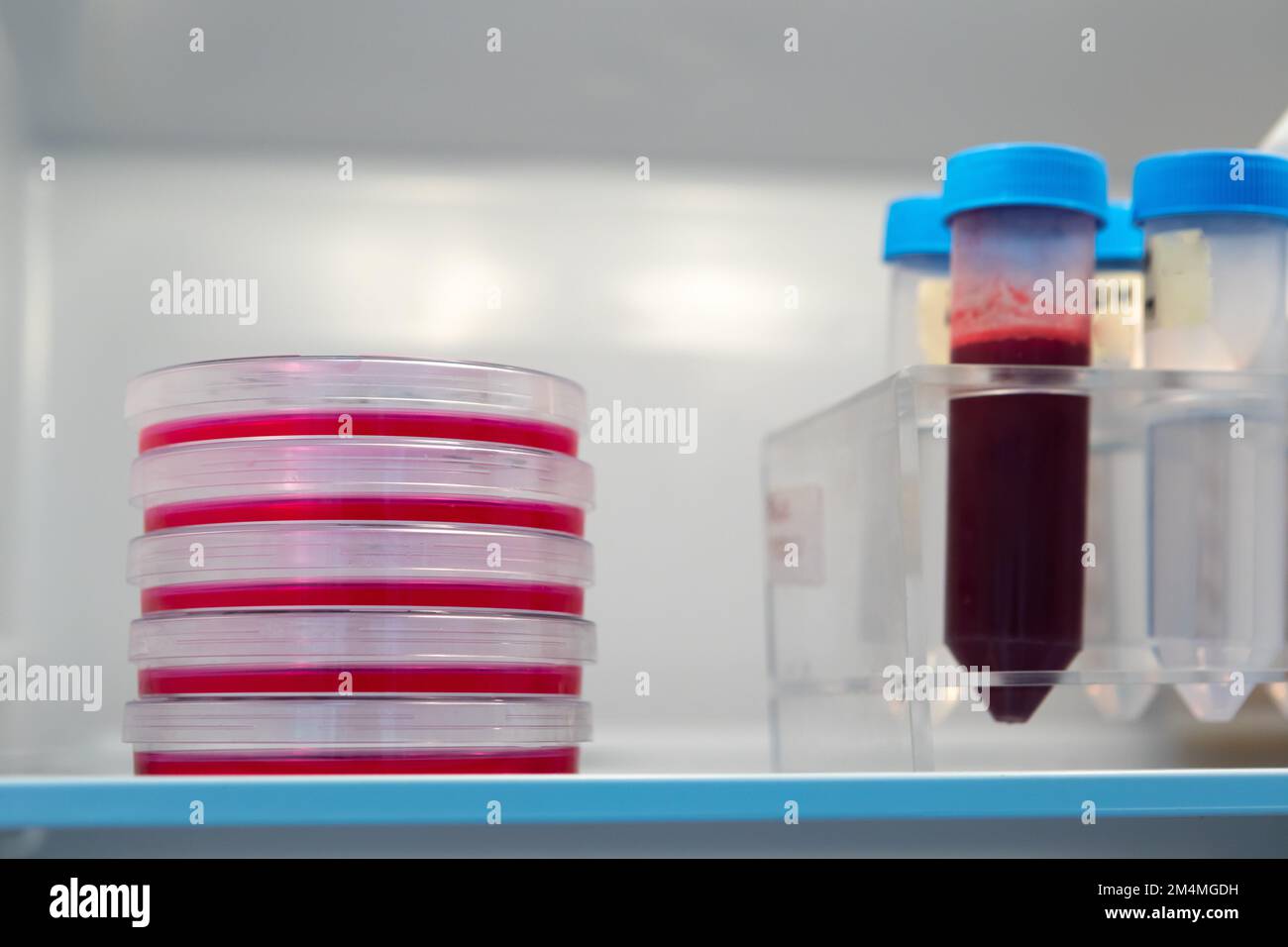 Test tube liquid stack hi-res stock photography and images - Alamy