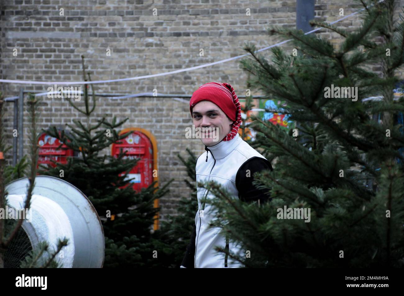 Copenhagen/Denmark/22 December 2022/ Christms trees for sale at ...