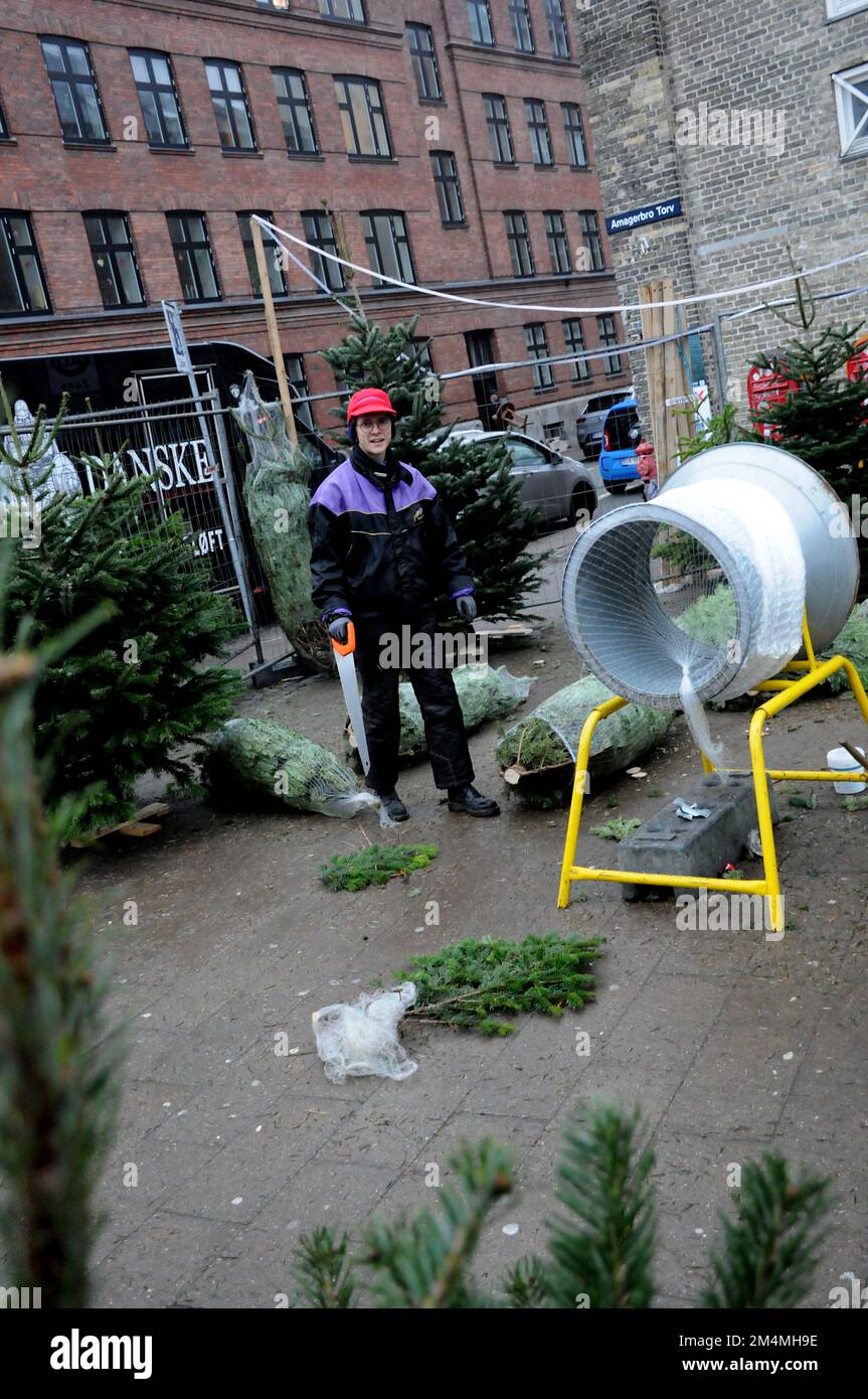 Copenhagen/Denmark/22 December 2022/ Christms trees for sale at ...