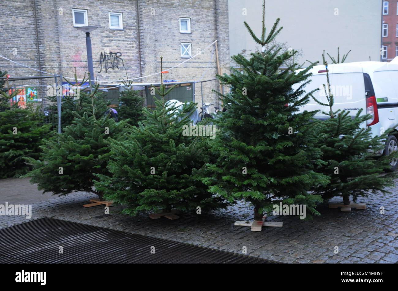 Copenhagen/Denmark/22 December 2022/ Christms trees for sale at ...
