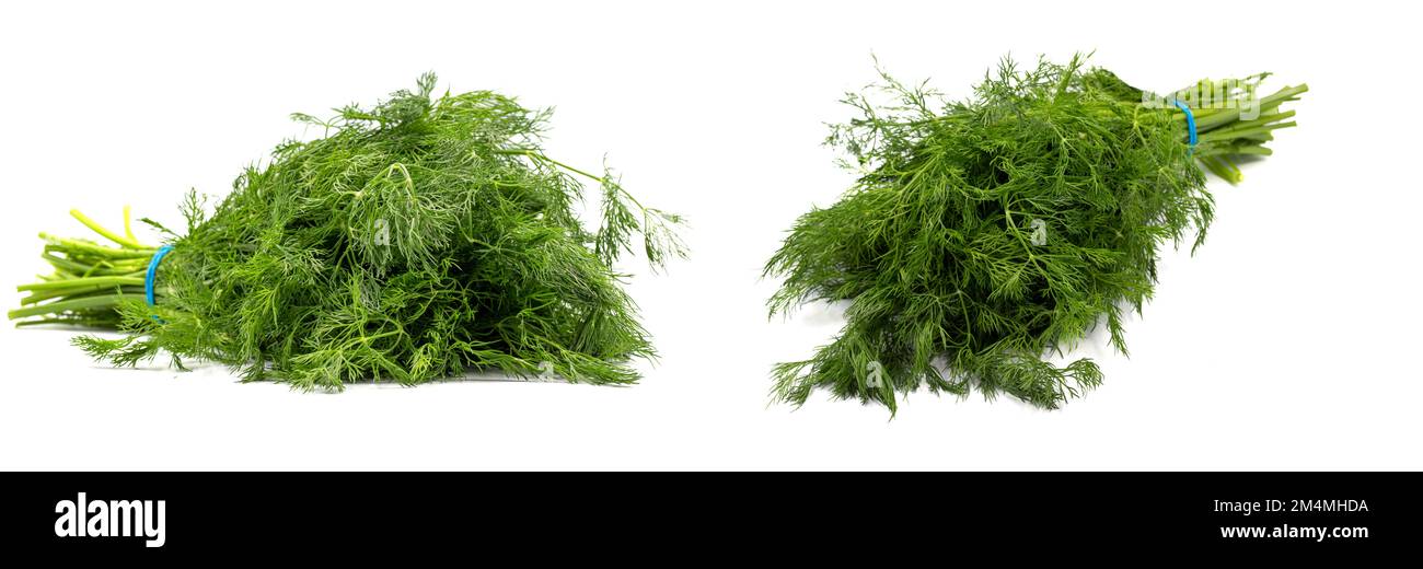 Set of dill images. Dill isolated on a white background. Clipping Path ...
