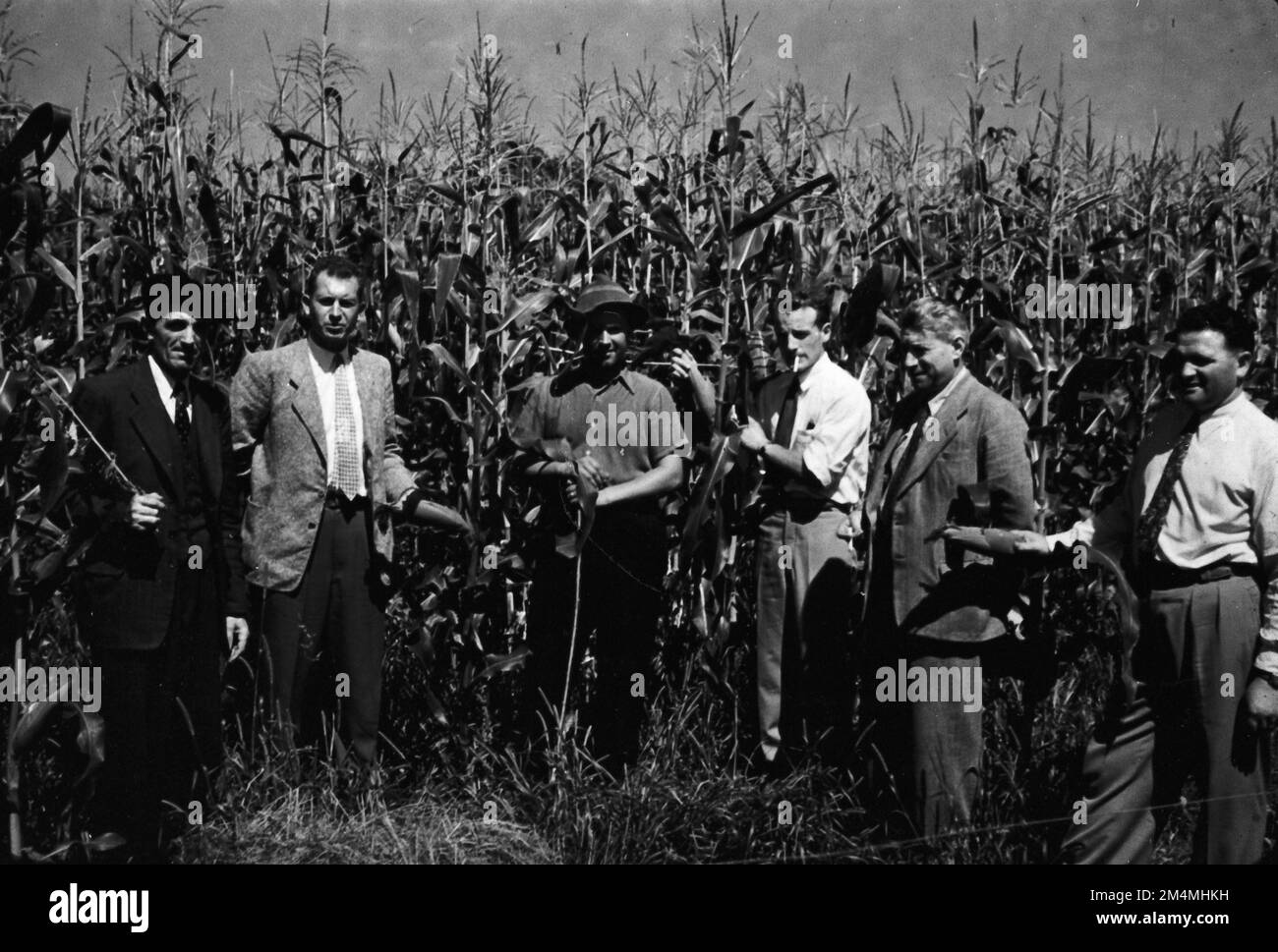 Hybrid Corn, Pau. Photographs of Marshall Plan Programs, Exhibits, and ...