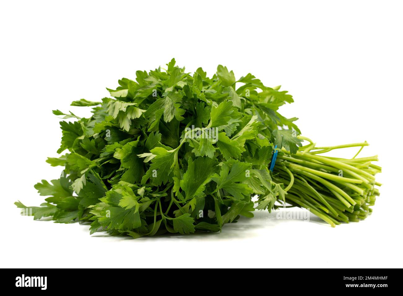 Parsley isolated on a white background. Clipping Path. Full depth of ...