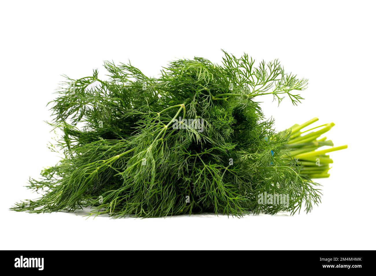 Dill isolated on a white background. Clipping Path. Full depth of field ...