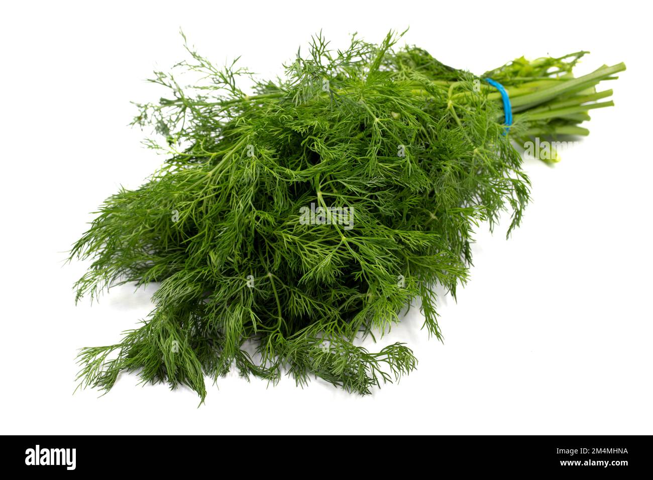Dill isolated on a white background. Clipping Path. Full depth of field ...