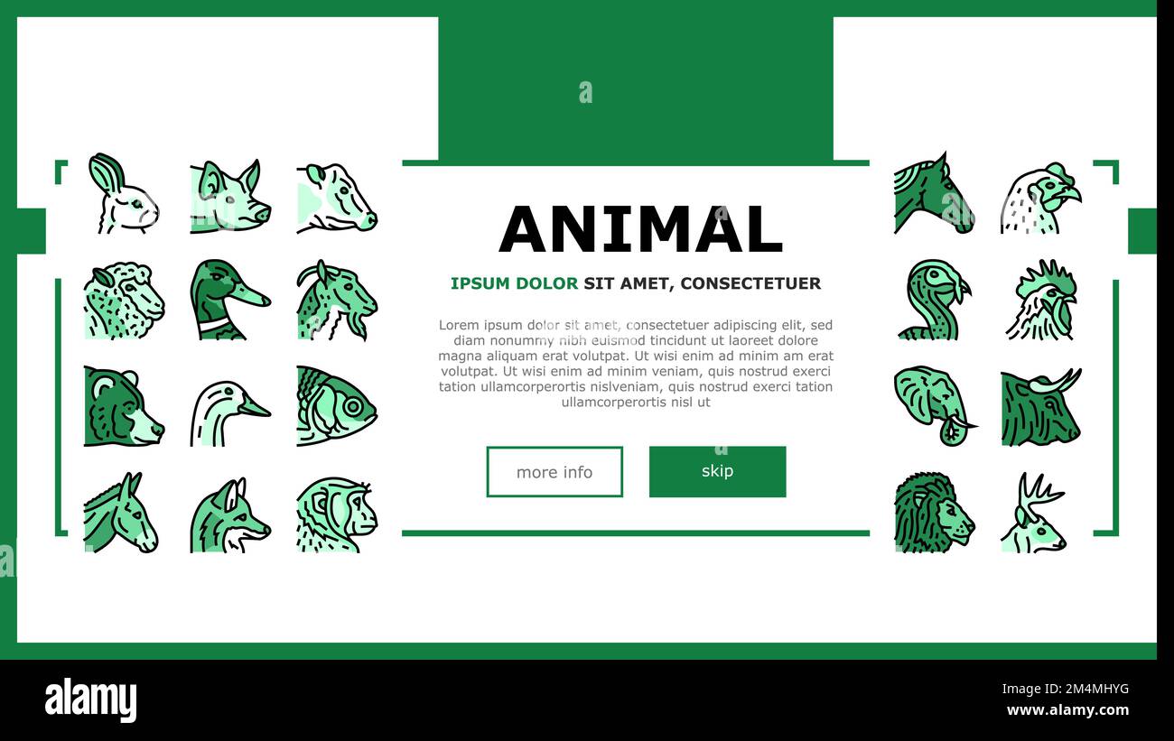 animal zoo nature wildlife landing header vector Stock Vector Image ...