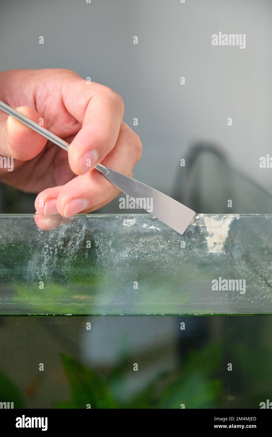 Lime scale hi-res stock photography and images - Alamy