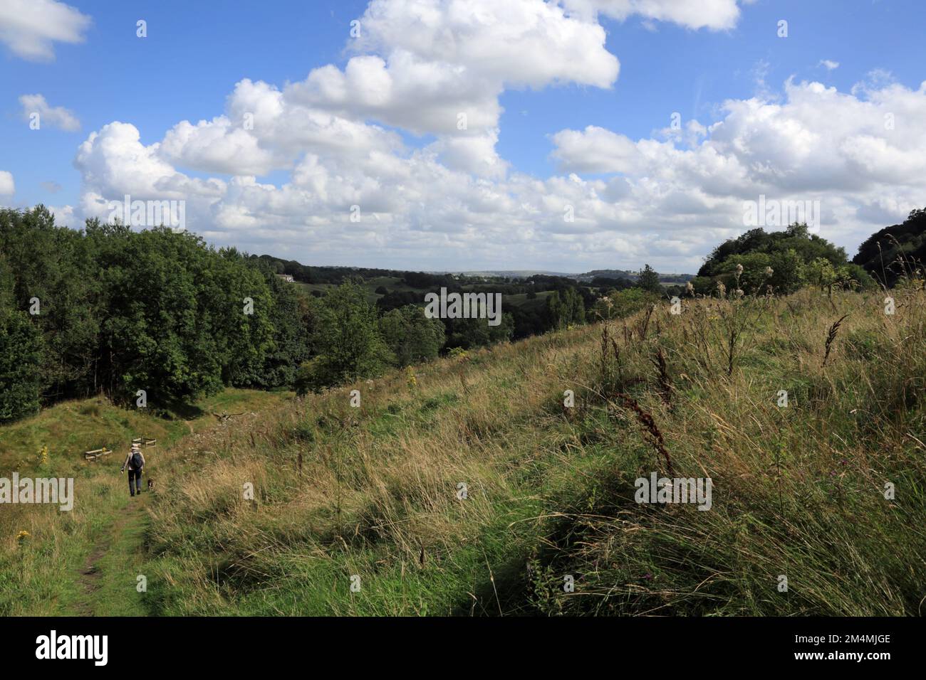 The valley of the River Darwen near Hoghton Bottoms near Hoghton ...