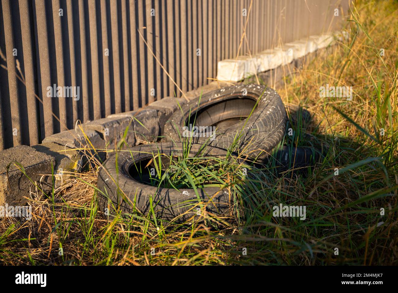 Contaminated vegetation hi-res stock photography and images - Alamy