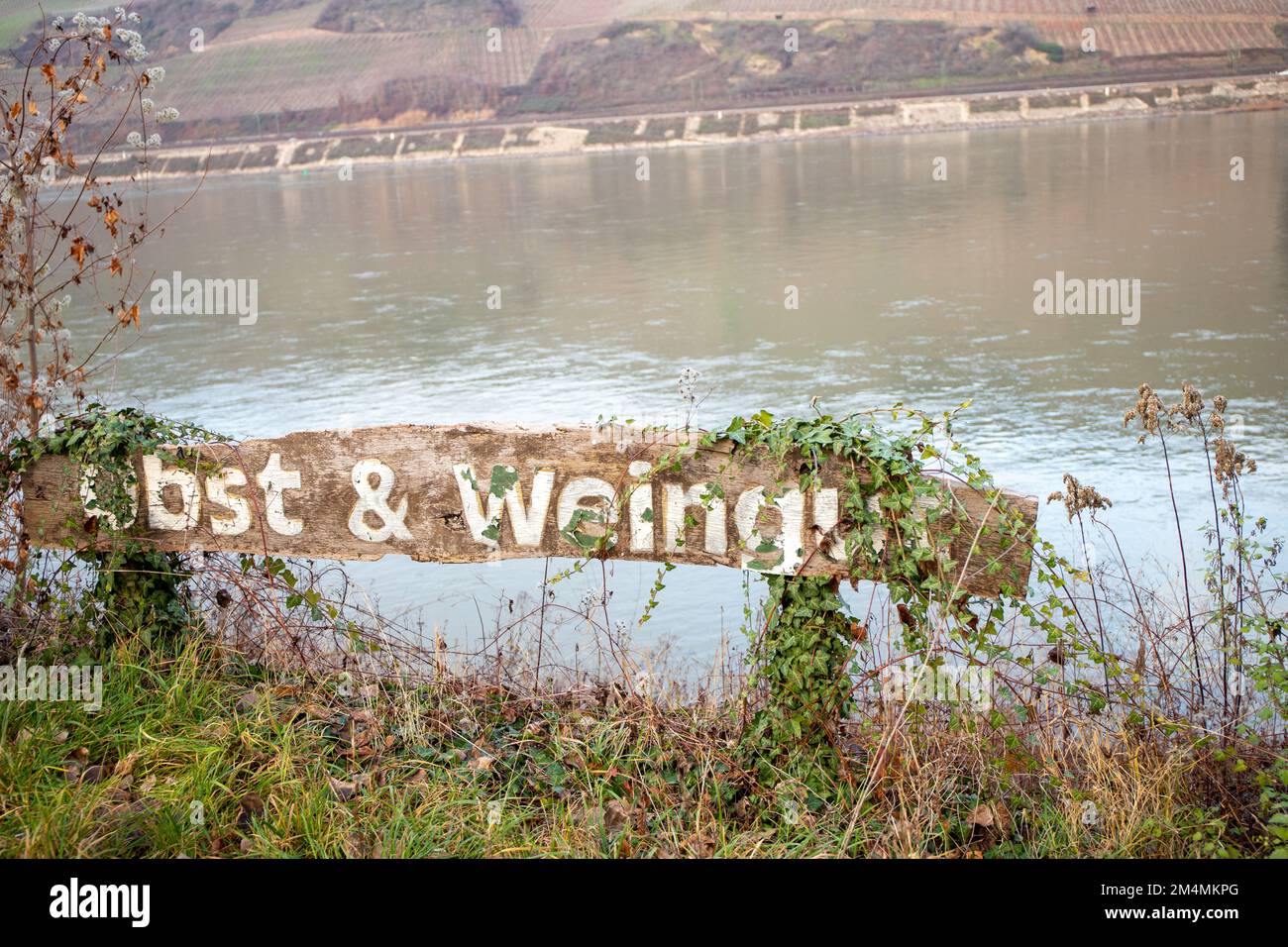 wood sign with fruit and vinery on it, overgrown with ivy and a river ...