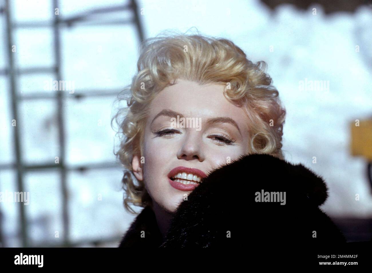 MARILYN MONROE in BUS STOP (1956), directed by JOSHUA LOGAN. Credit ...