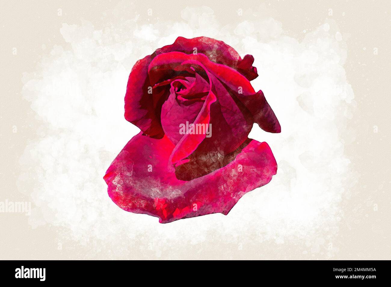 Watercolor painting of a red bud rose on biege background for Valentine ...